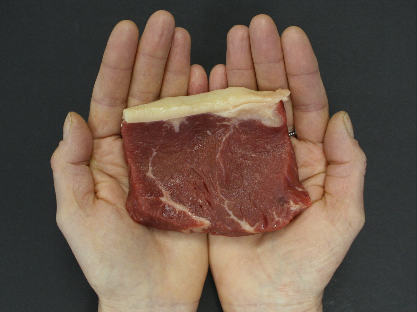 Portion Sizes Nutracheck Portion Sizes Nutracheck